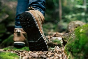 Explore Lange Falls: Essential Tips and Insights - Pocket Montana