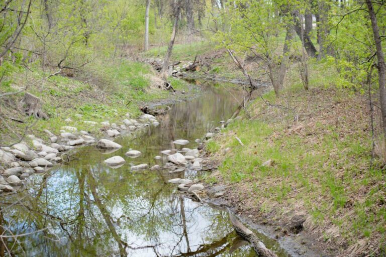 Discover Paradise Falls: First-Time Visitor's Guide - Pocket Montana ...