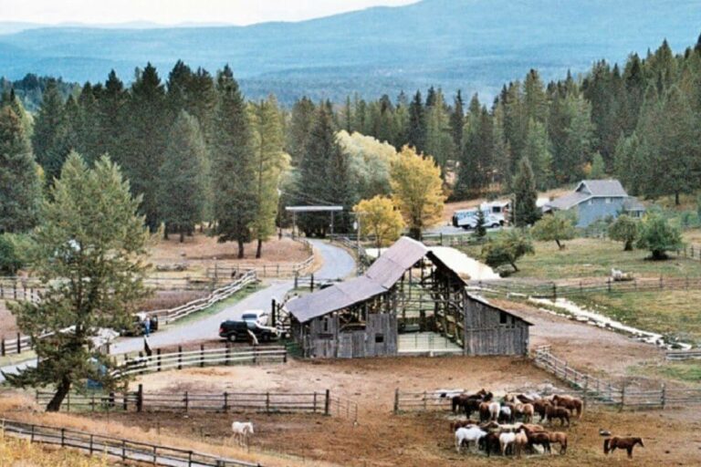 The Top 7 Dude Ranches for the Best Guys Getaways in Montana - Pocket ...