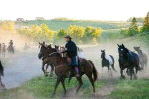 Top 13 Montana Ranches to Visit During Your Trip - Pocket Montana