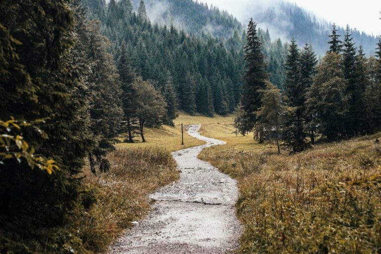 Discover Morrell Falls: Hiking and Safety Guide - Pocket Montana Travel ...