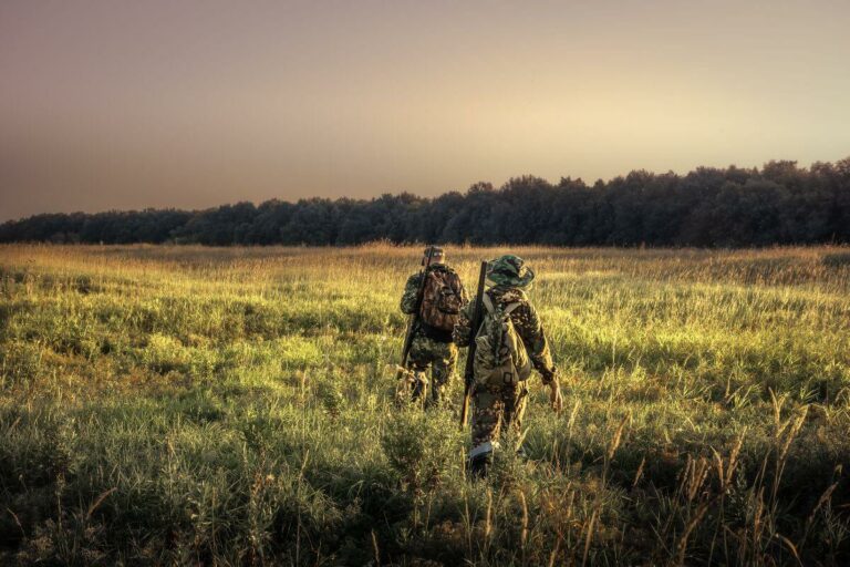 A Complete Guide to the Montana Hunting License System - Pocket Montana