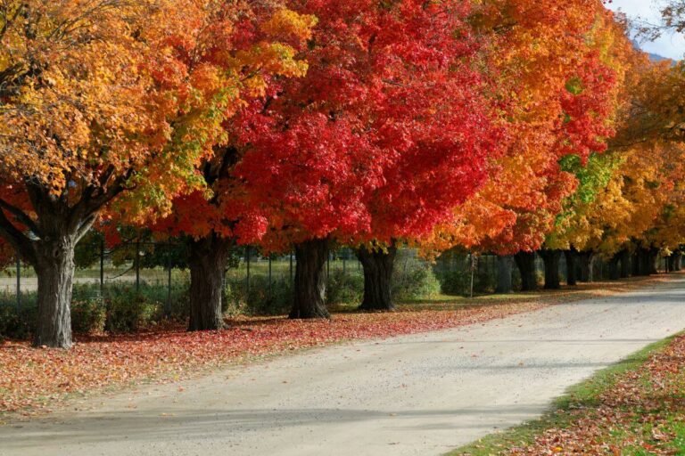 11 Things to Do in the Fall in Montana - Pocket Montana