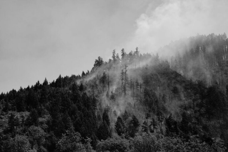 Montana's History Shaped by Fires - Pocket Montana