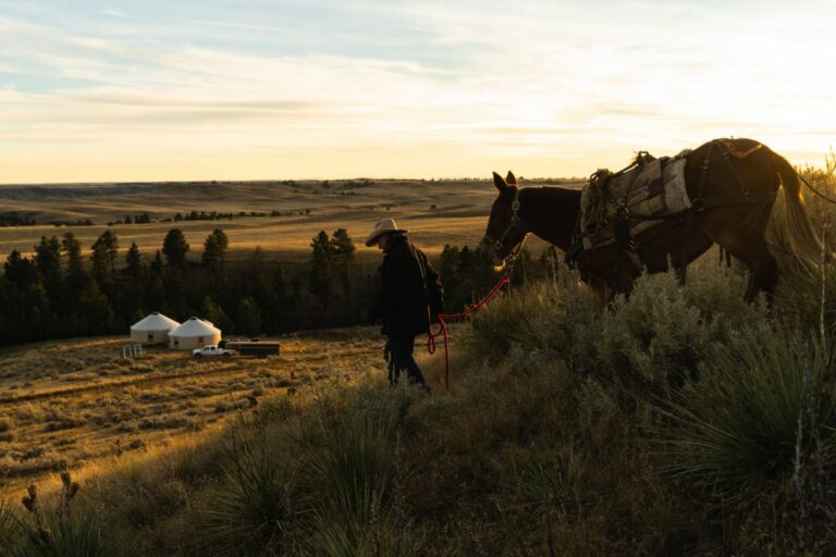 The American Prairie Reserve in Montana Visitor’s Guide - Pocket Montana