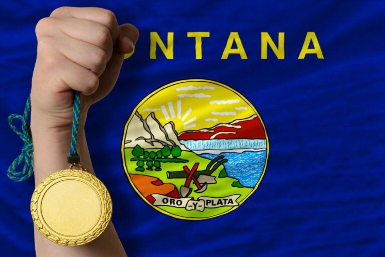 Unveiling Montana's State Colors - Pocket Montana