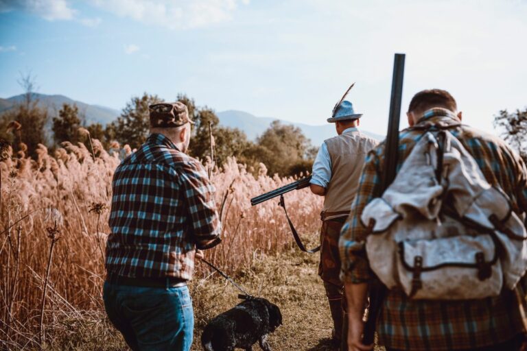 Montana Antelope Hunting Guide for First-Time Hunters - Pocket Montana