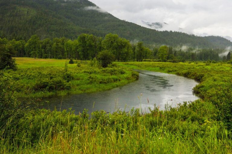 Montana Agriculture: A Complete Guide With Key Insights - Pocket Montana