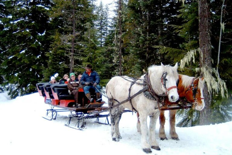 Christmas in Montana: 15 Best Things to Do - Pocket Montana