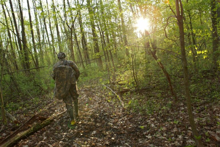 A Complete Guide to the Montana Hunting License System - Pocket Montana