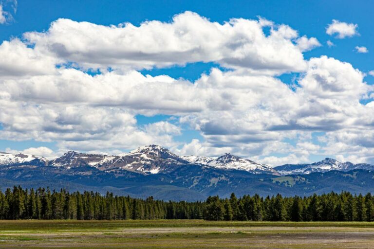 Montana in May: Weather, Things to Do, and Events - Pocket Montana