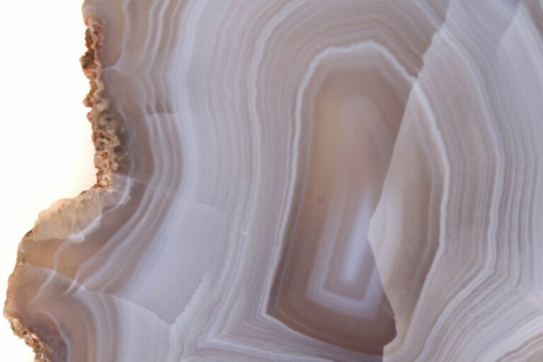 An In-Depth Look Into the Montana Agate - Pocket Montana