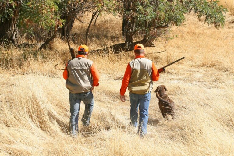 Montana Hunting Guide: Expert Tips for Hunting Like a Pro - Pocket Montana