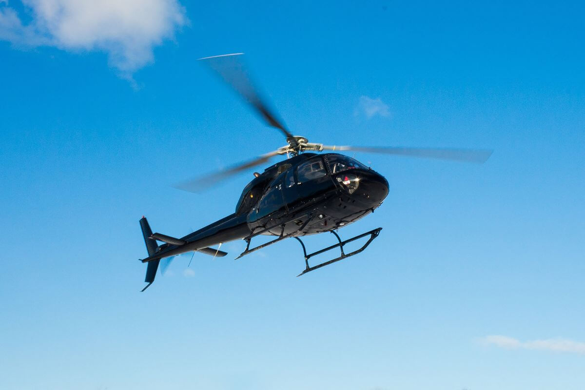 Conquer Montana Bug Season: Insights and Challenges - Pocket Montana