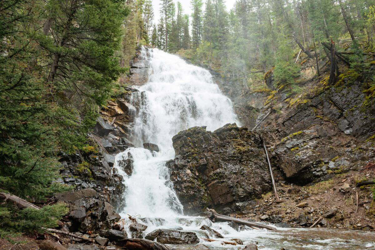 Discover Morrell Falls: Hiking and Safety Guide - Pocket Montana Travel ...